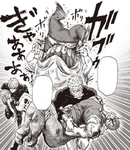 Tanktop Master/Synopsis | One-Punch Man Wiki | Fandom