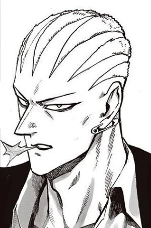 Discuss Everything About One-Punch Man Wiki | Fandom