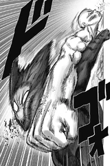 Garou | One-Punch Man Wiki | Fandom
