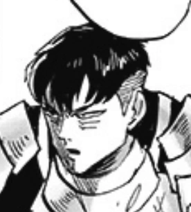 Destructive Devastation | One-Punch Man Wiki | Fandom