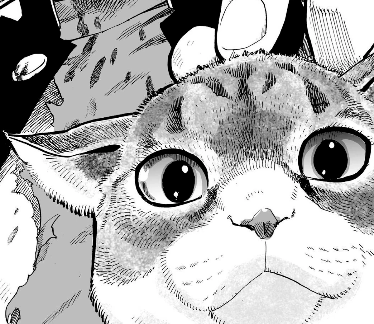 Tama | One Punch-Man Wiki | Fandom