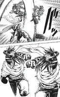 Speed-o'-Sound Sonic vs. Flashy Flash | One-Punch Man Wiki | Fandom