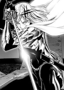 Lightspeed Flash/Habilidades y Poderes | One Punch-Man Wiki | Fandom