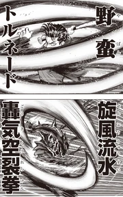 Garou y Metal Bat vs. Centisennin | One Punch-Man Wiki | Fandom