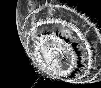 Luna | One Punch-Man Wiki | Fandom