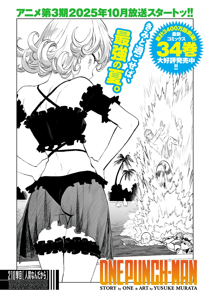 Chapter 212 (Online) | One-Punch Man Wiki | Fandom