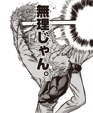 Garou/Synopsis | One-Punch Man Wiki | Fandom