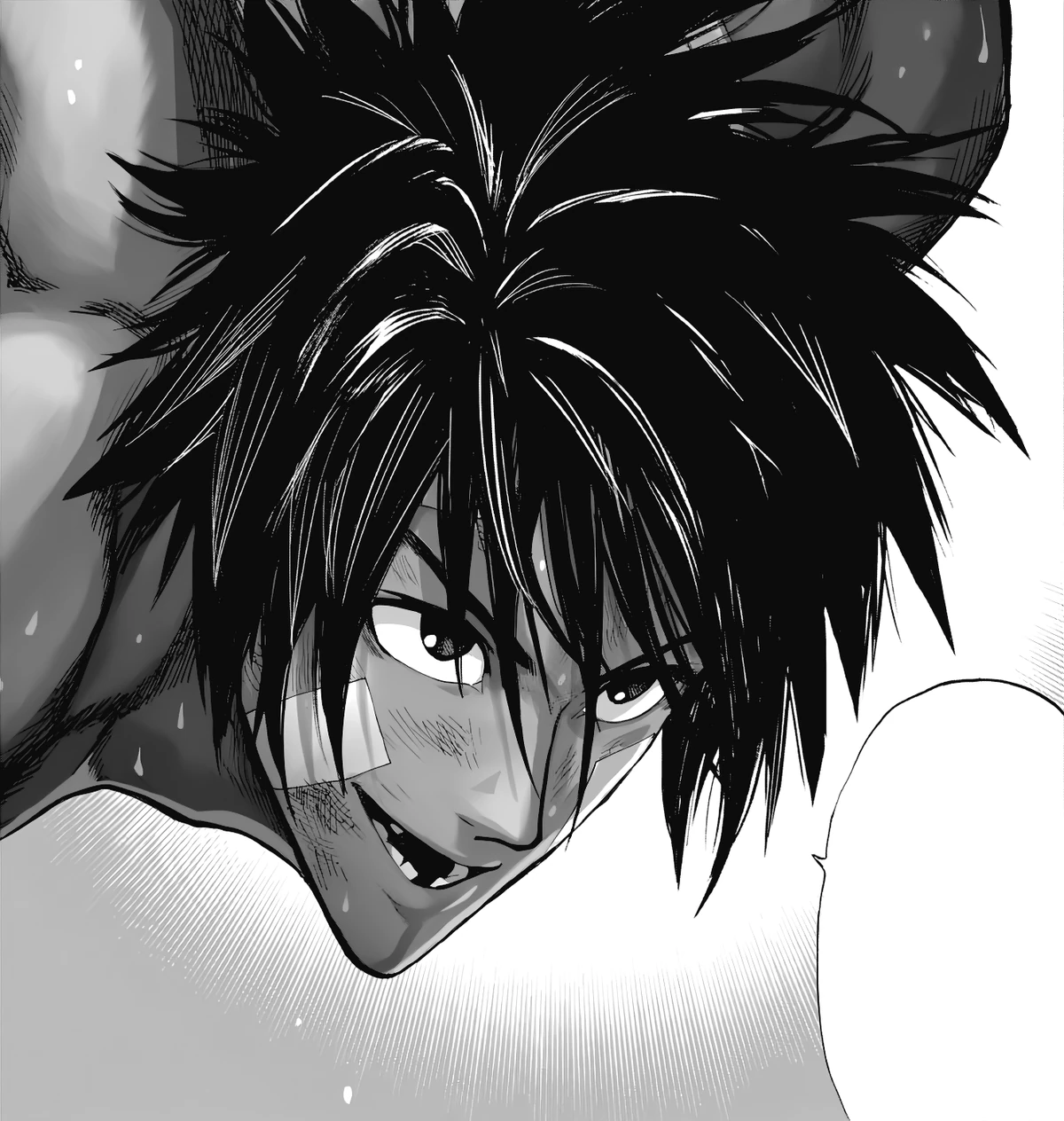 Suiryu/Other Media | One-Punch Man Wiki | Fandom