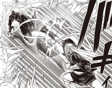 Whirlwind Iron Cutting Fist/Image Gallery | One-Punch Man Wiki | Fandom