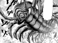 Senior Centipede | One-Punch Man Wiki | Fandom