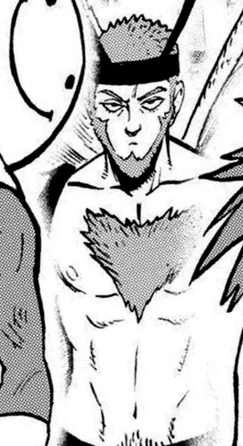 Butterfly DX | One-Punch Man Wiki | Fandom