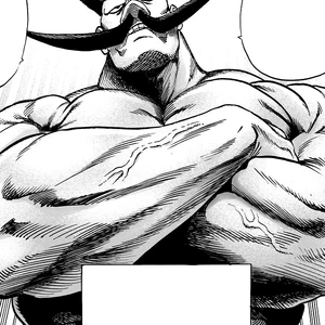 Discuss Everything About One-Punch Man Wiki | Fandom