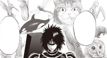 Earth | One-Punch Man Wiki | Fandom