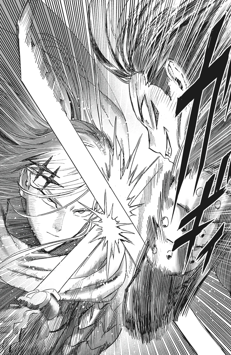 Speed-o'-Sound Sonic vs. Flashy Flash | One-Punch Man Wiki | Fandom