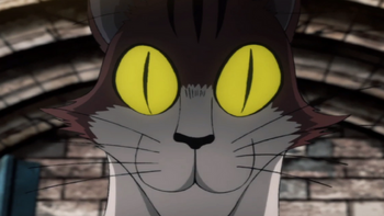 Nyan | One-Punch Man Wiki | Fandom