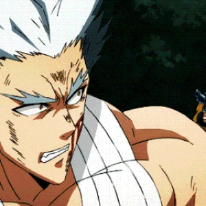 Discuss Everything About One-Punch Man Wiki | Fandom