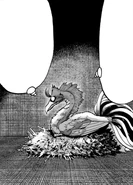 Phoenix Man/Image Gallery | One-Punch Man Wiki | Fandom