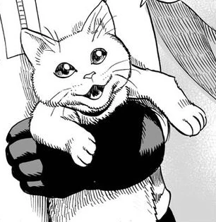 Torako | One-Punch Man Wiki | Fandom