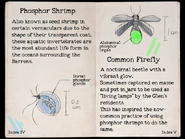 Phosphor | OneShot Wiki | Fandom