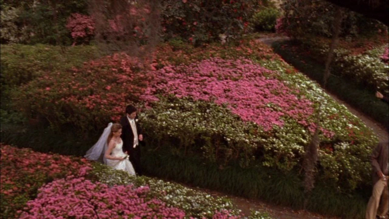 Boda De Nathan Scott