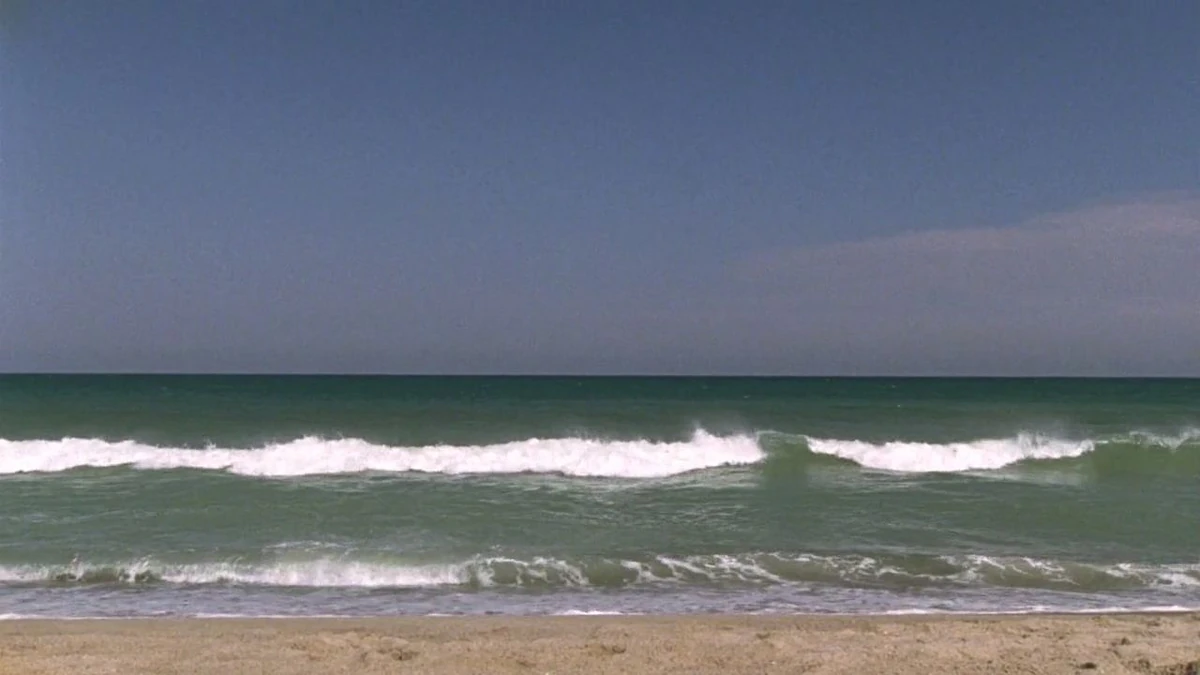 Tree Hill Beach | One Tree Hill Wiki | Fandom