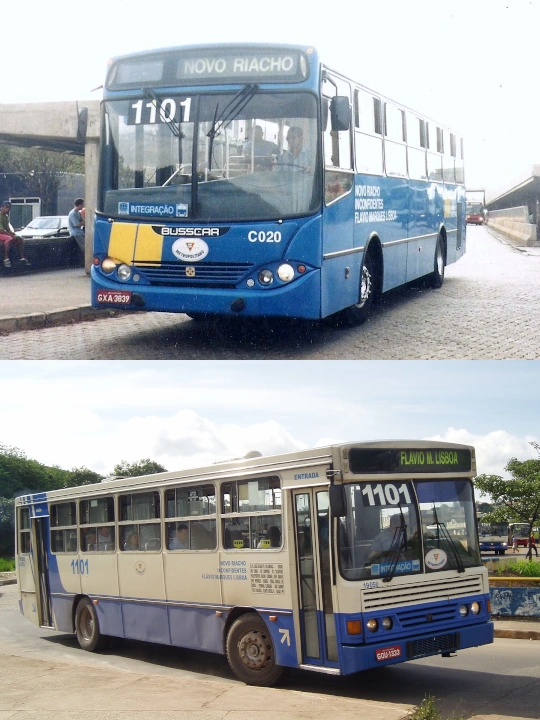 1101 (Probus) | Wiki Ônibus BH | Fandom