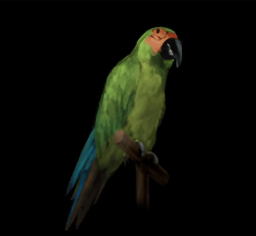 Green Parrot | Onimusha Wiki | Fandom