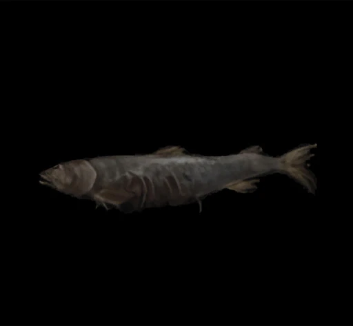 Rotten River Fish | Onimusha Wiki | Fandom