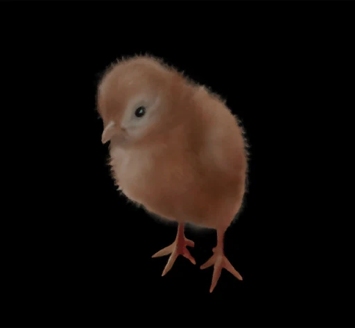 Brown Chick | Onimusha Wiki | Fandom