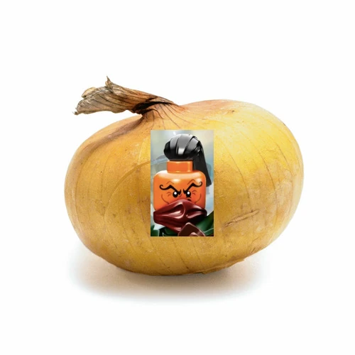 Nadakhanonion | Onion Wiki | Fandom