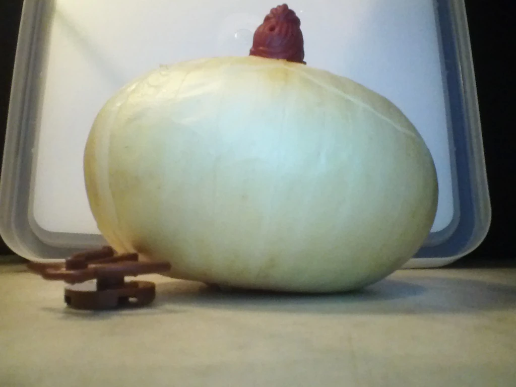 Skyloronion | Onion Wiki | Fandom