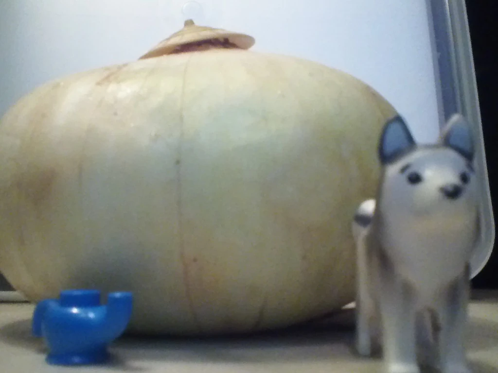 Wuonion | Onion Wiki | Fandom