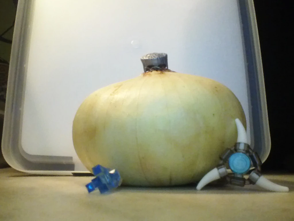 Zaneonion | Onion Wiki | Fandom