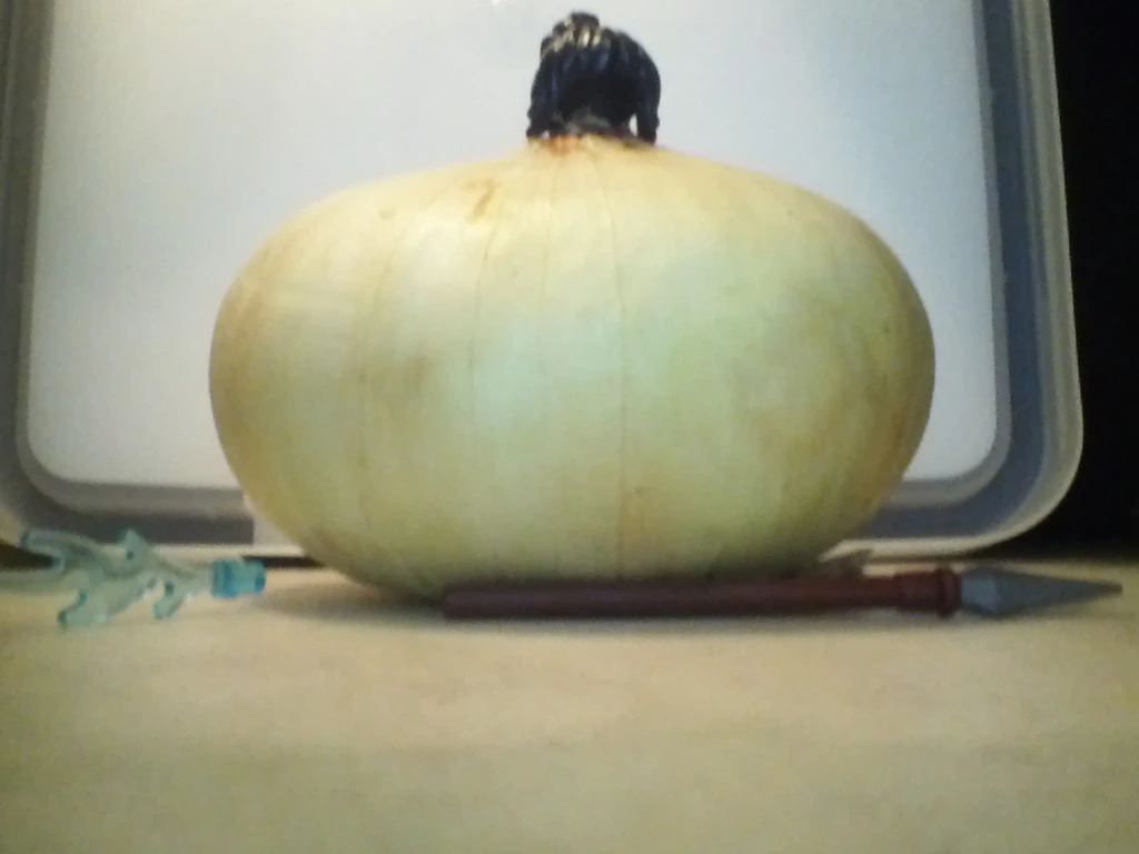 Nyaonion | Onion Wiki | Fandom