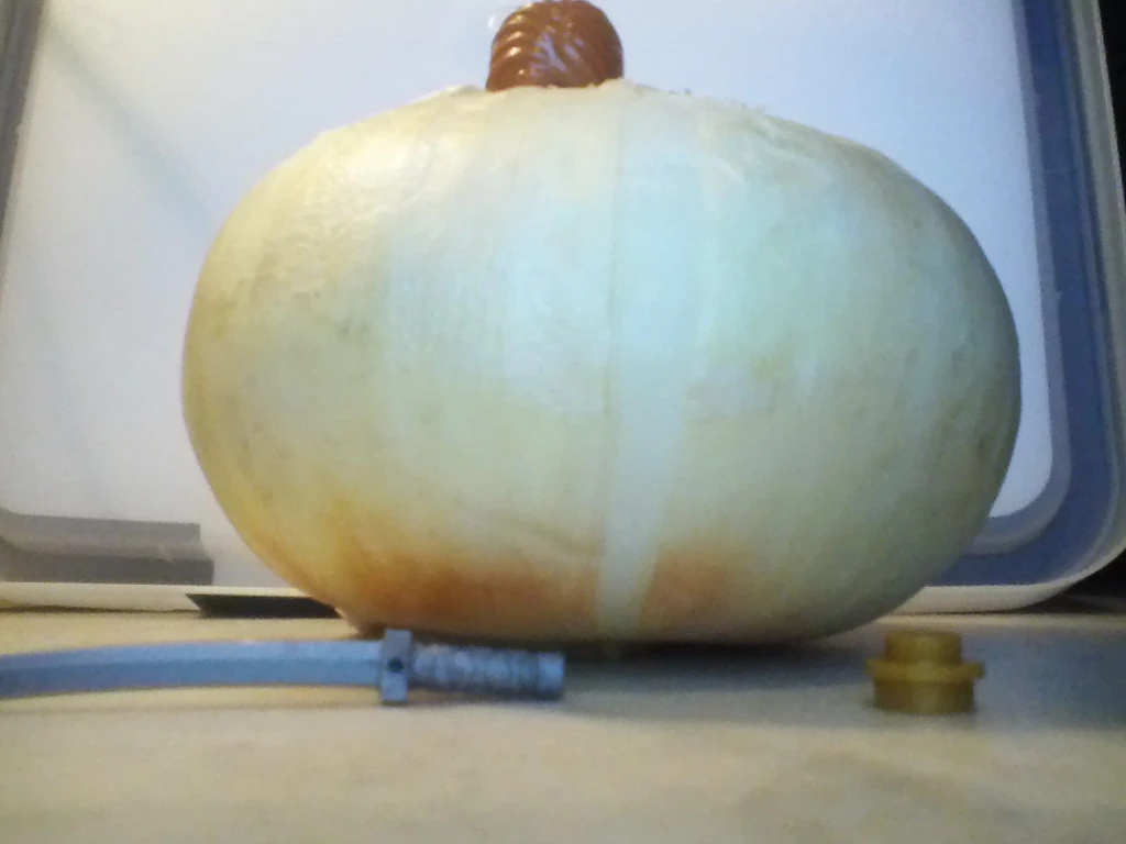 Ronion | Onion Wiki | Fandom