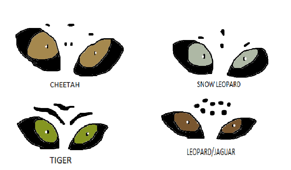 Original Cartoon 4 Sets of Spots and Striped Cat Eyes (art STUFF ...
