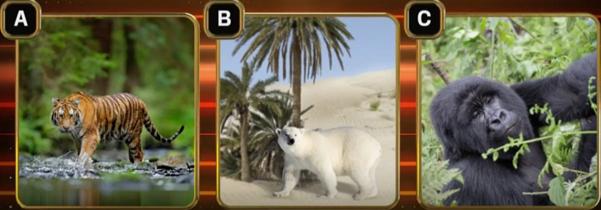 1% Club Season 1 Episode 1 | Only Connect Questions Wiki | Fandom