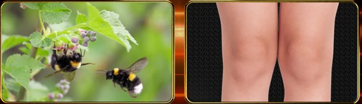 1% Club Season 2 Episode 2 | Only Connect Questions Wiki | Fandom