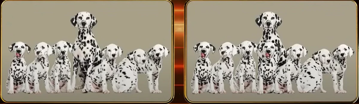 1% Club Season 4 Episode 1 | Only Connect Questions Wiki | Fandom