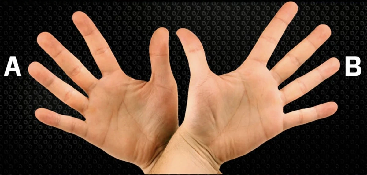 1% Club Season 3 Episode 2 | Only Connect Questions Wiki | Fandom