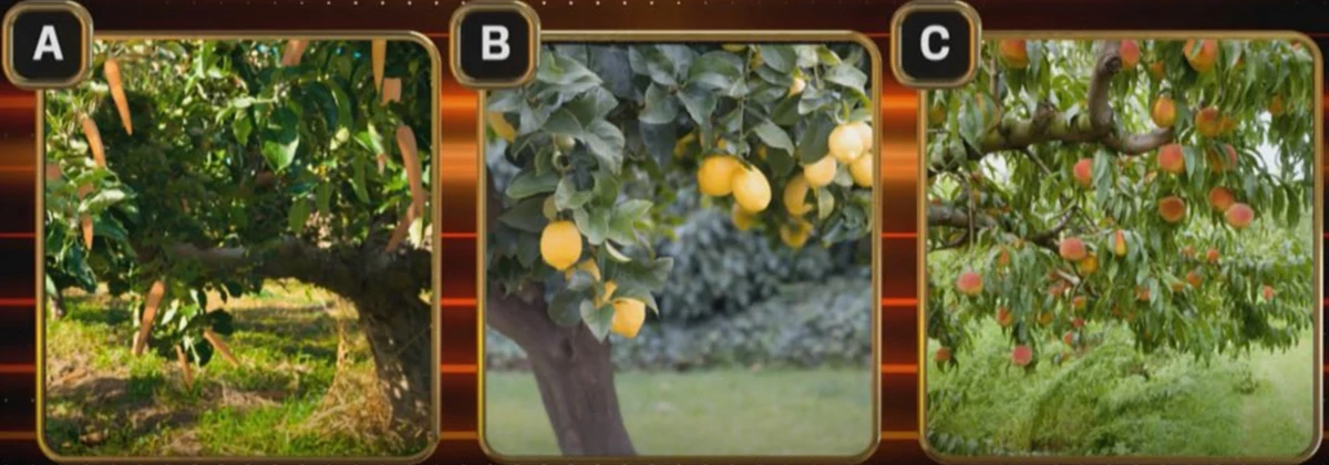 1% Club Season 1 Episode 7 | Only Connect Questions Wiki | Fandom