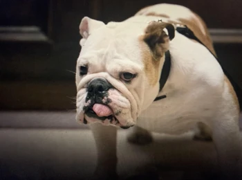 Winnie | Only Murders in the Building Wiki | Fandom