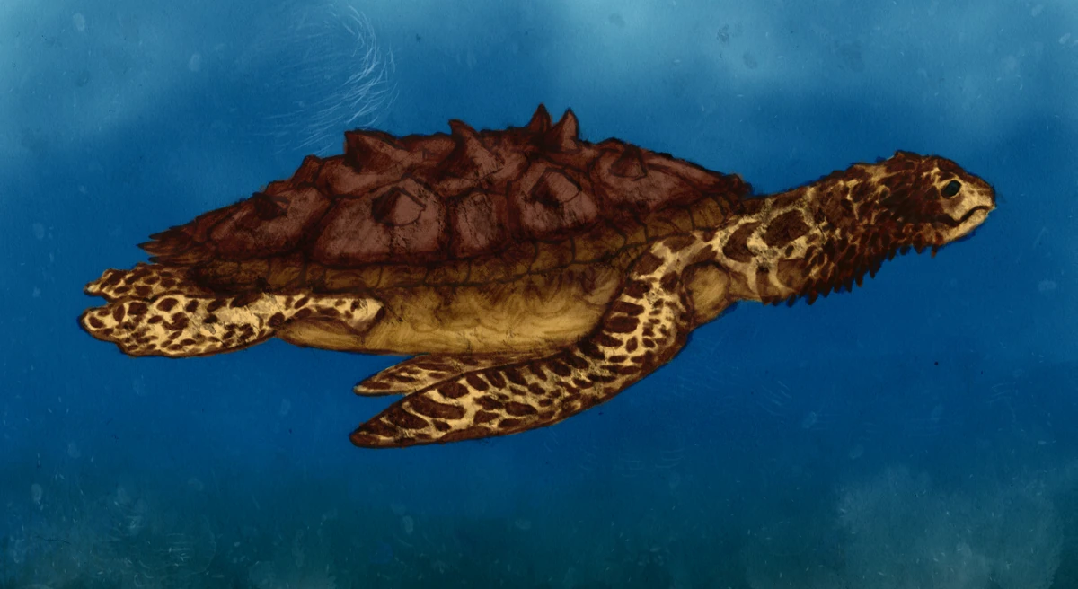 Turtles | Onos Wiki | Fandom