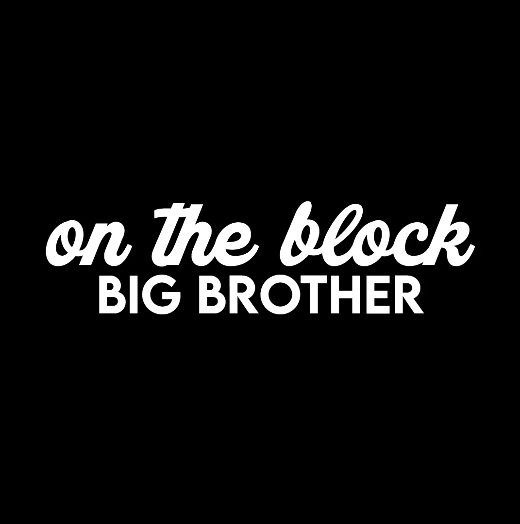 Big Brother 4 | Big Brother On The Block Wiki | Fandom