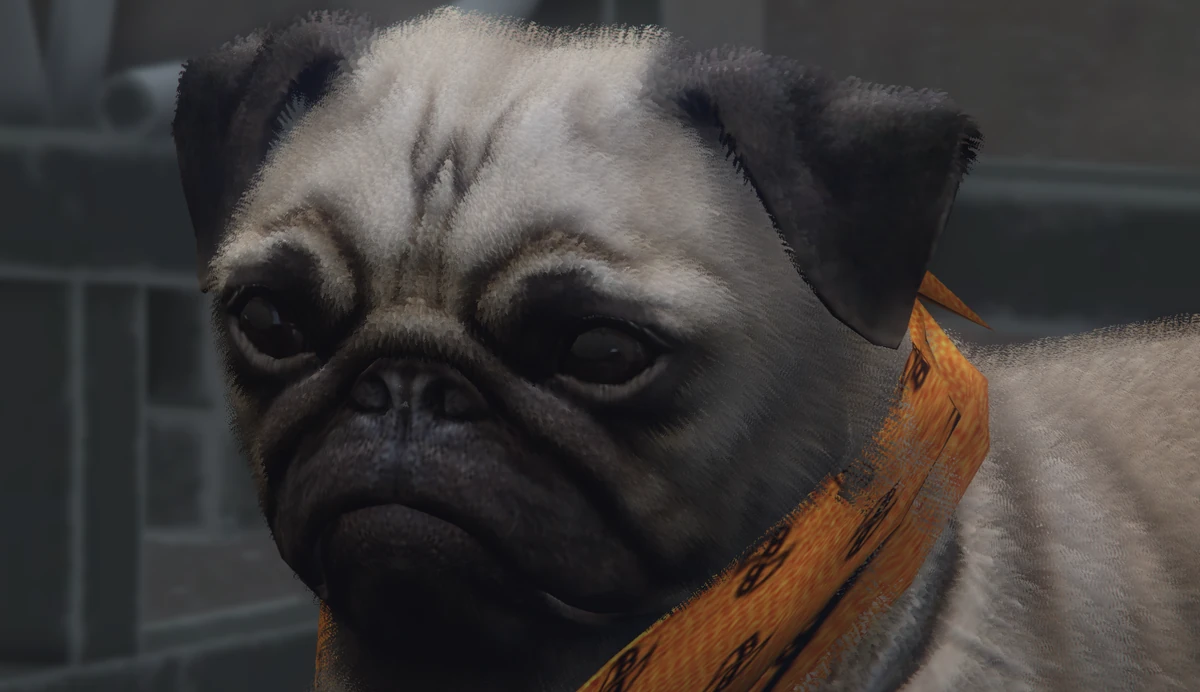 Fish | ONX Wiki | Fandom