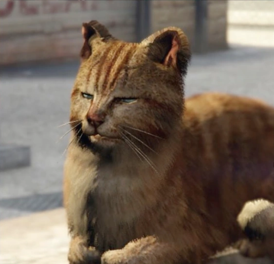 Louis Bloom/Relationships | ONX Wiki | Fandom