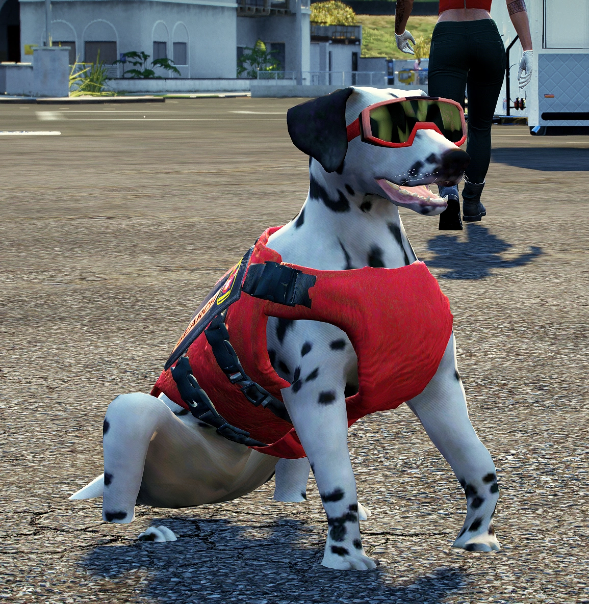 Marshall de Vil | ONX Wiki | Fandom