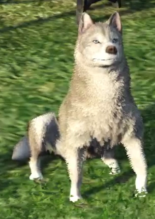 Category:Animals | ONX Wiki | Fandom