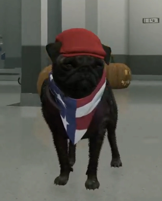 Bob America | ONX Wiki | Fandom