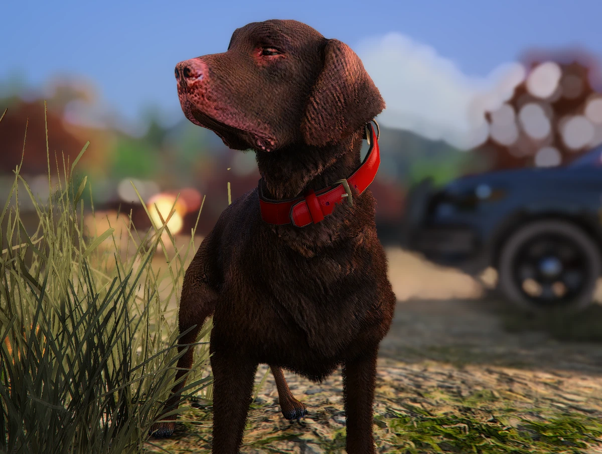 Tuna | ONX Wiki | Fandom